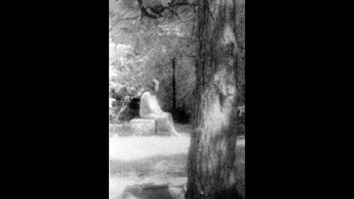 Bachelors Grove Cemetery | Chicago’s Graveyard with Ghosts