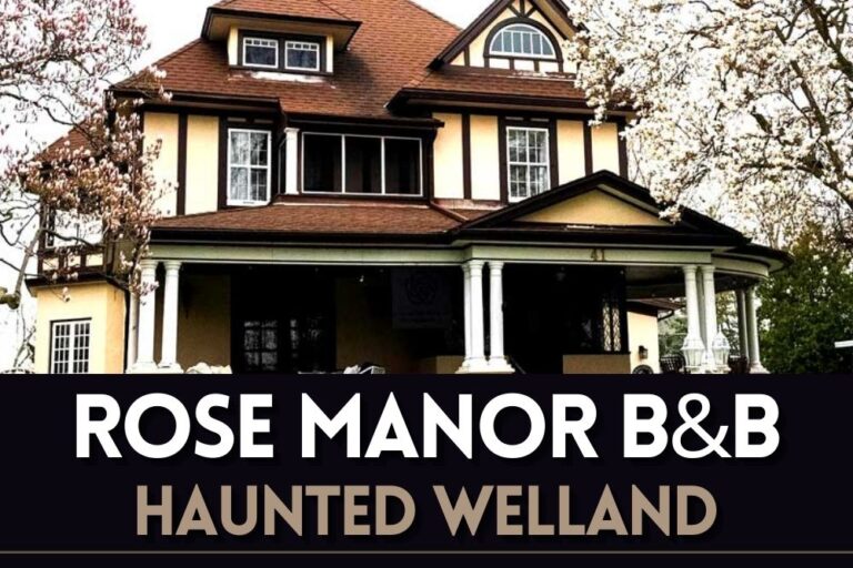 The Rose Manor of Welland | Birdie's Home | Articles